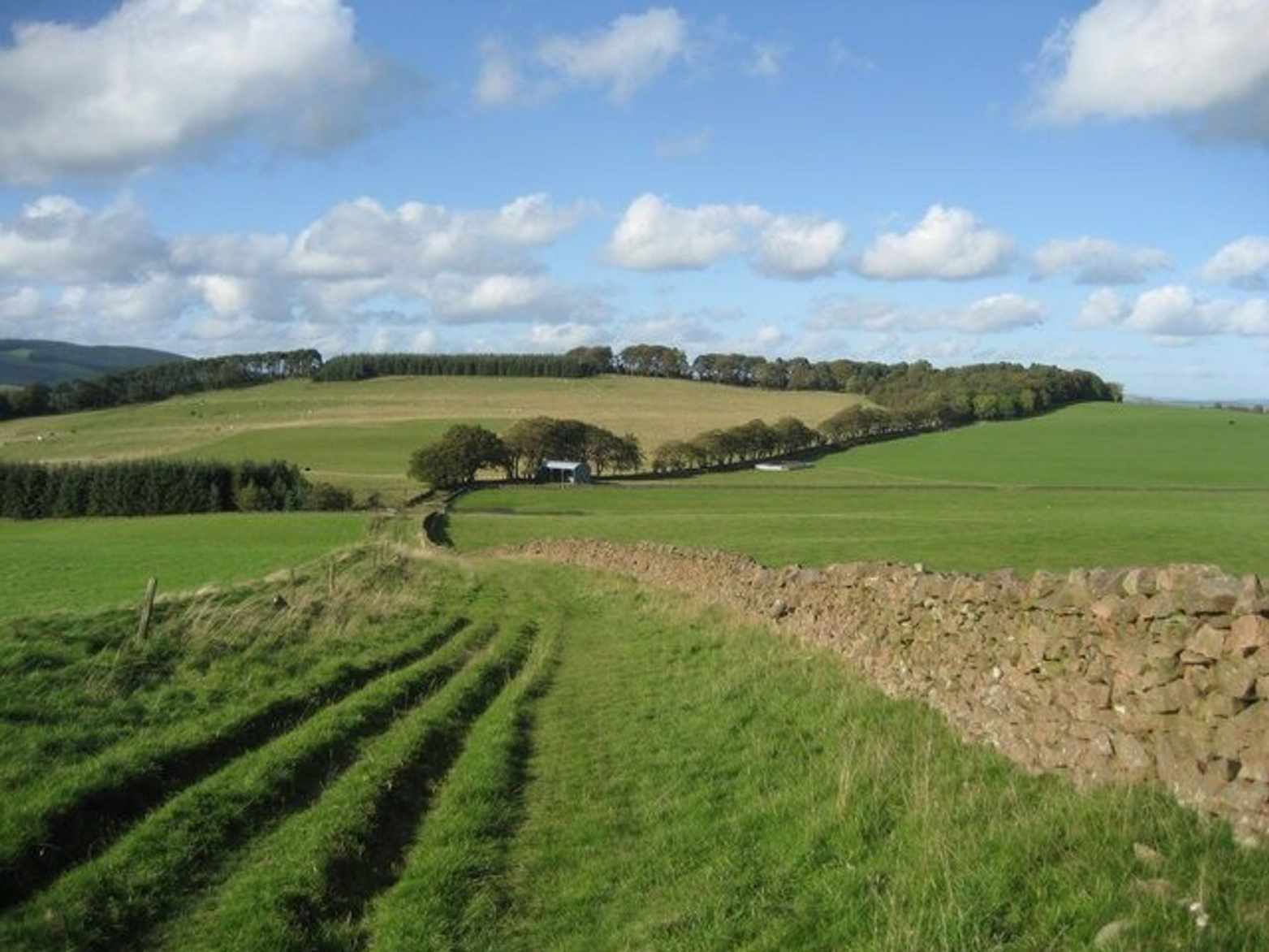 Borders Abbeys Way Walking Holiday | Celtic Trails Self-Guided Hiking