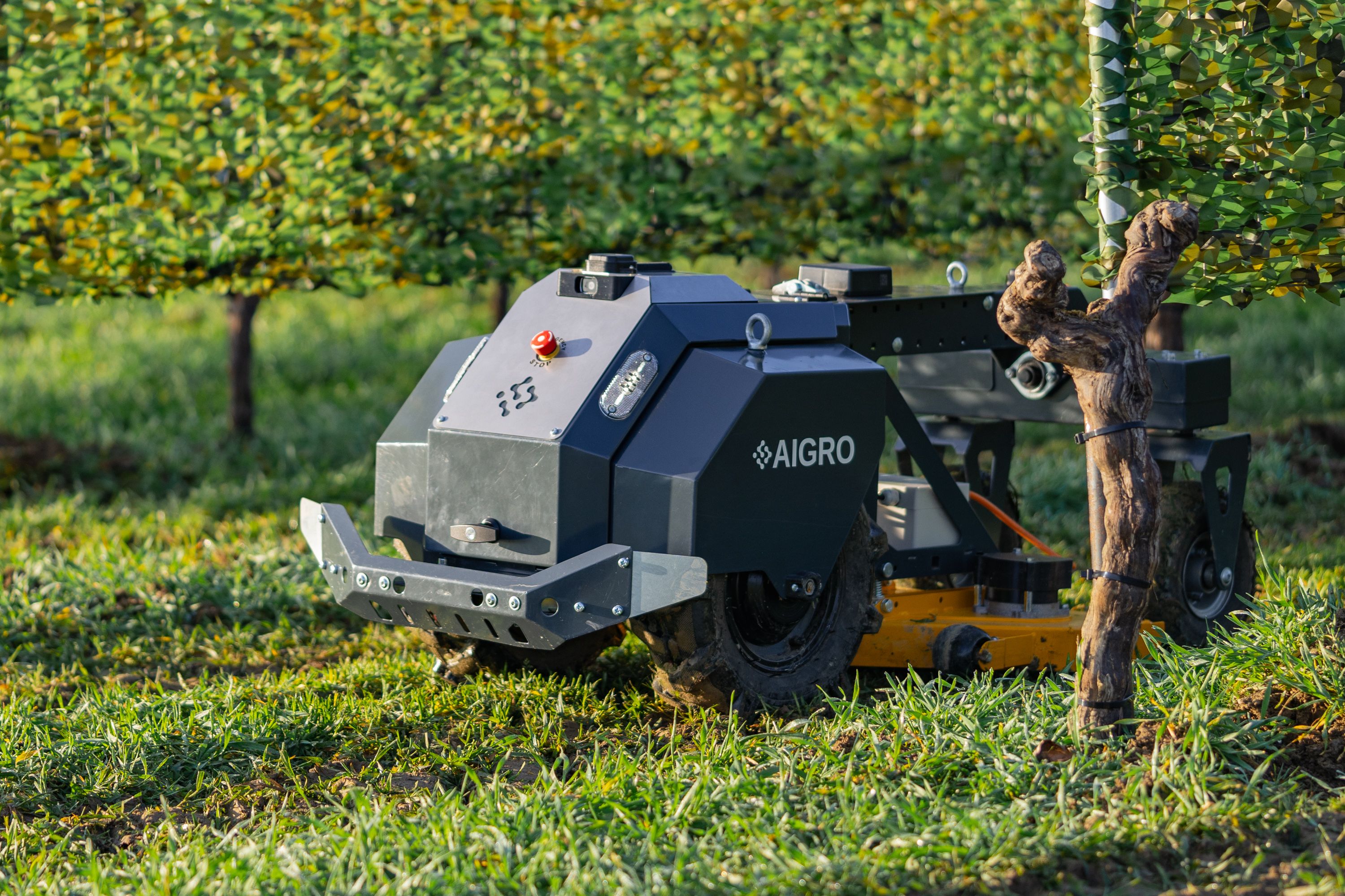 Robots are Ready for the Vineyards | GOFAR