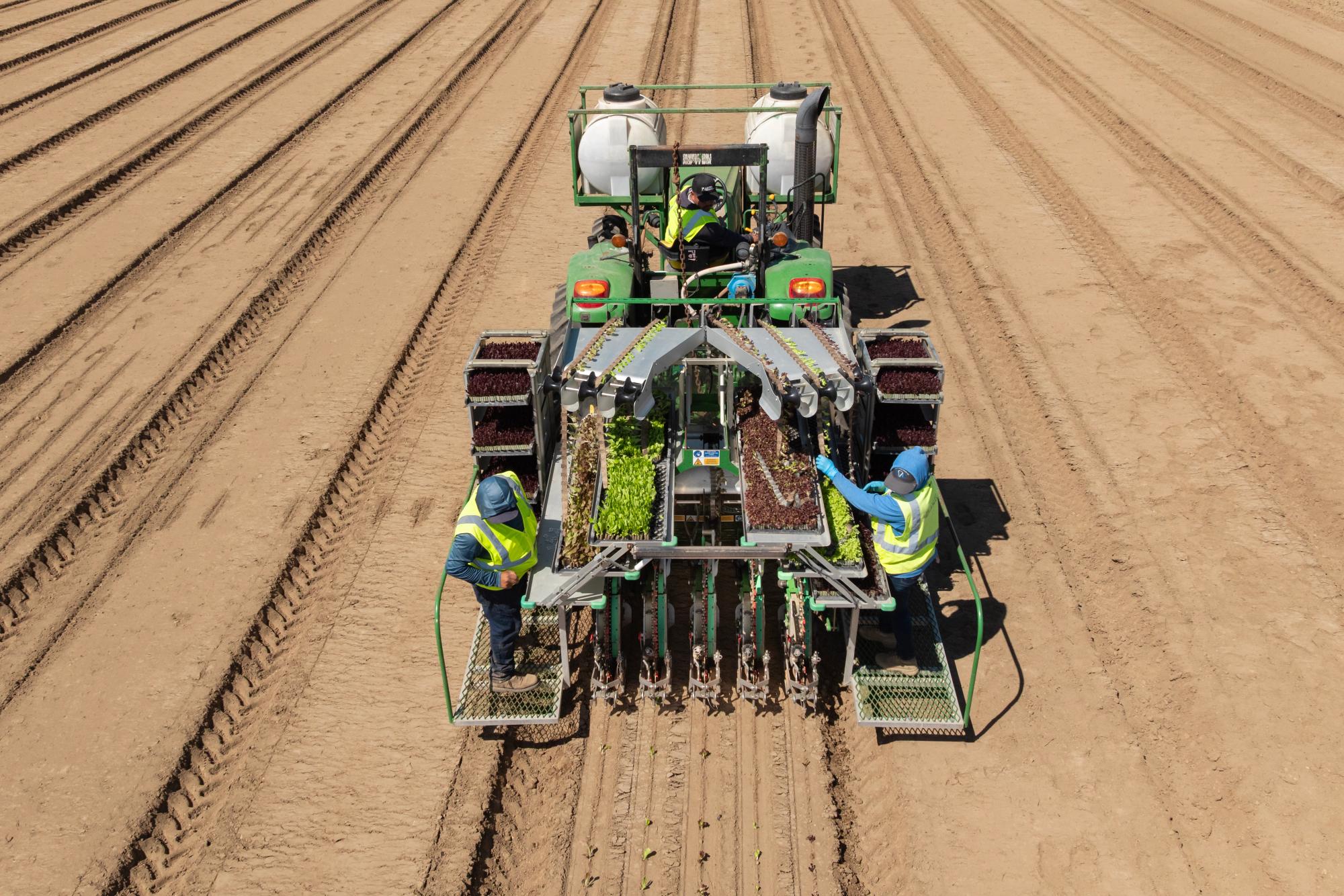 PlantTape Transplanter | GOFAR