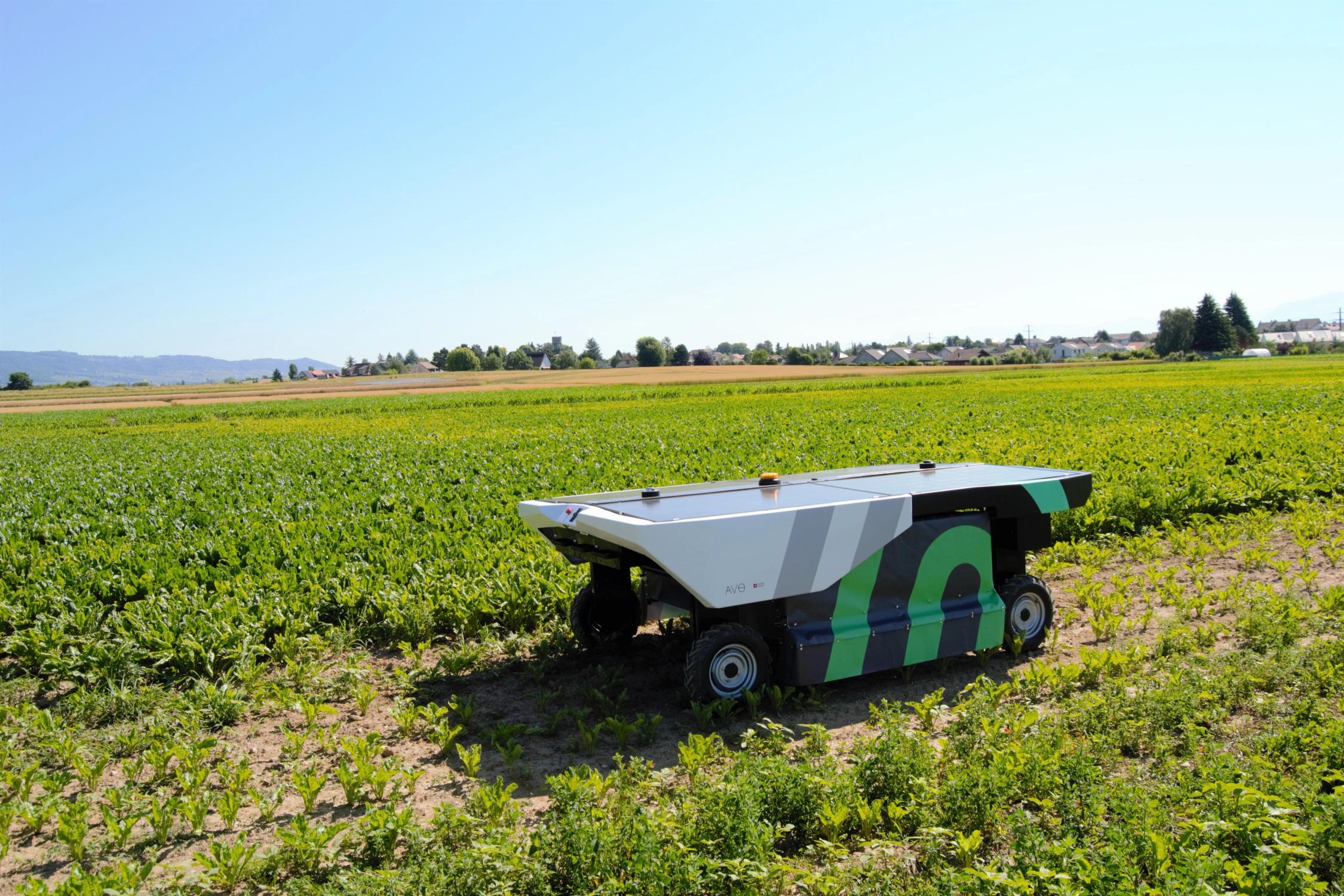 The Next Frontier of Weeding Robots | GOFAR