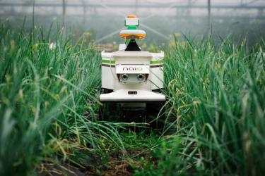 The Next Frontier of Weeding Robots | GOFAR