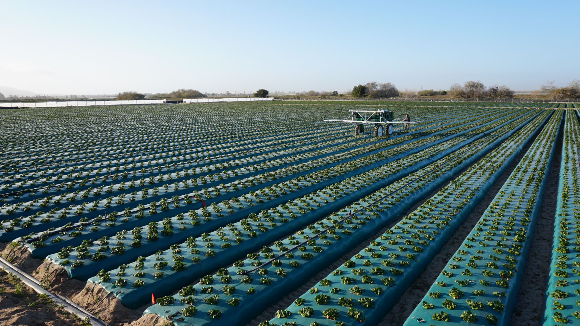 TRIC Robotics talks about its winning FIRA experience | GOFAR