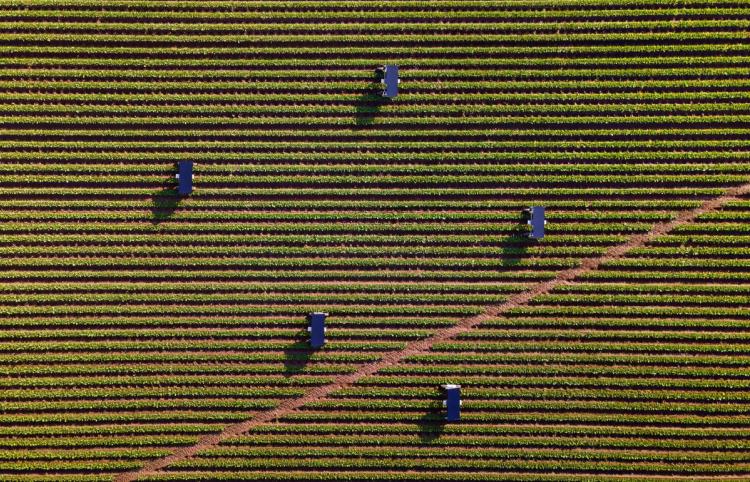 Aigen’s Solar-Powered Robot Eliminates Herbicide-Resistant Weeds | GOFAR