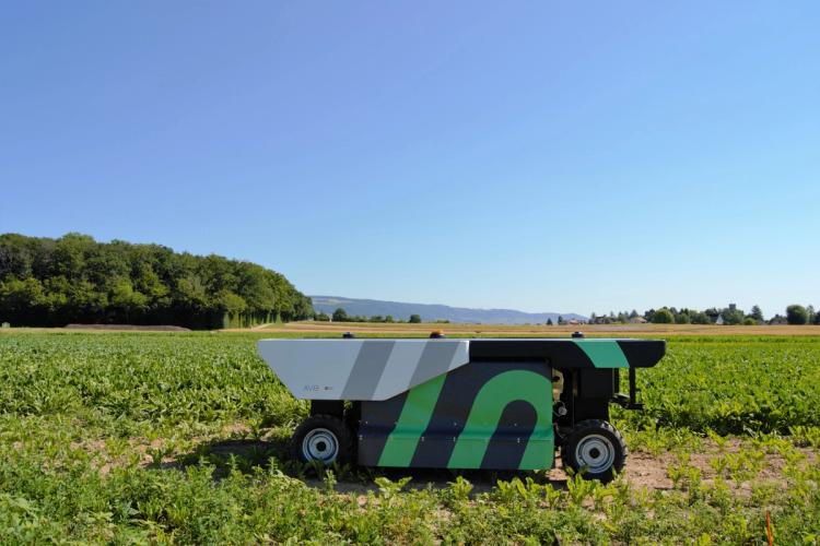 The Next Frontier of Weeding Robots | GOFAR