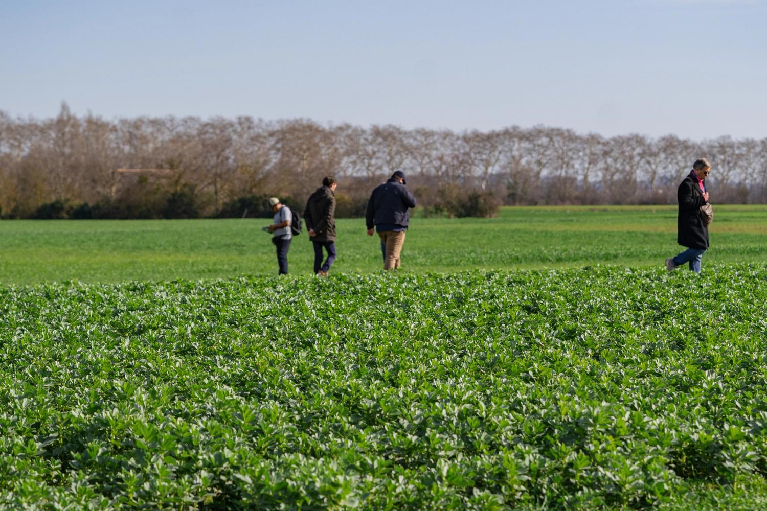 The Next Generation of Field Crops Robots Can Help Multiply the Farmer ...