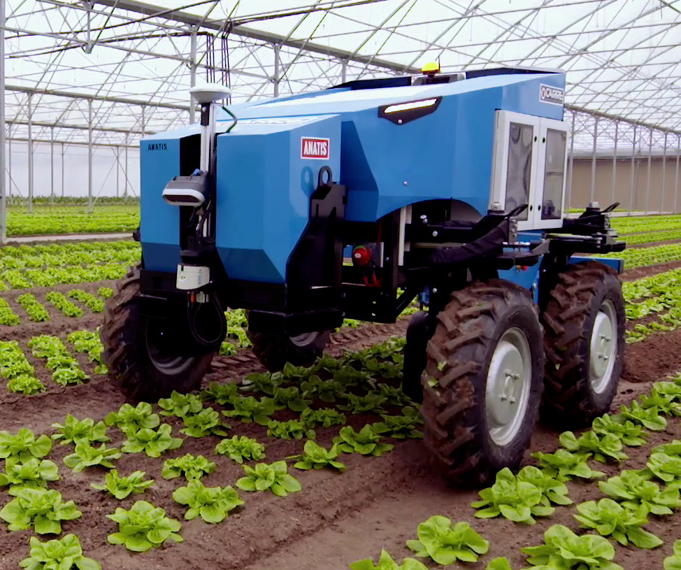 Robotizing crop weeding with HKTC and CAPACITES | GOFAR