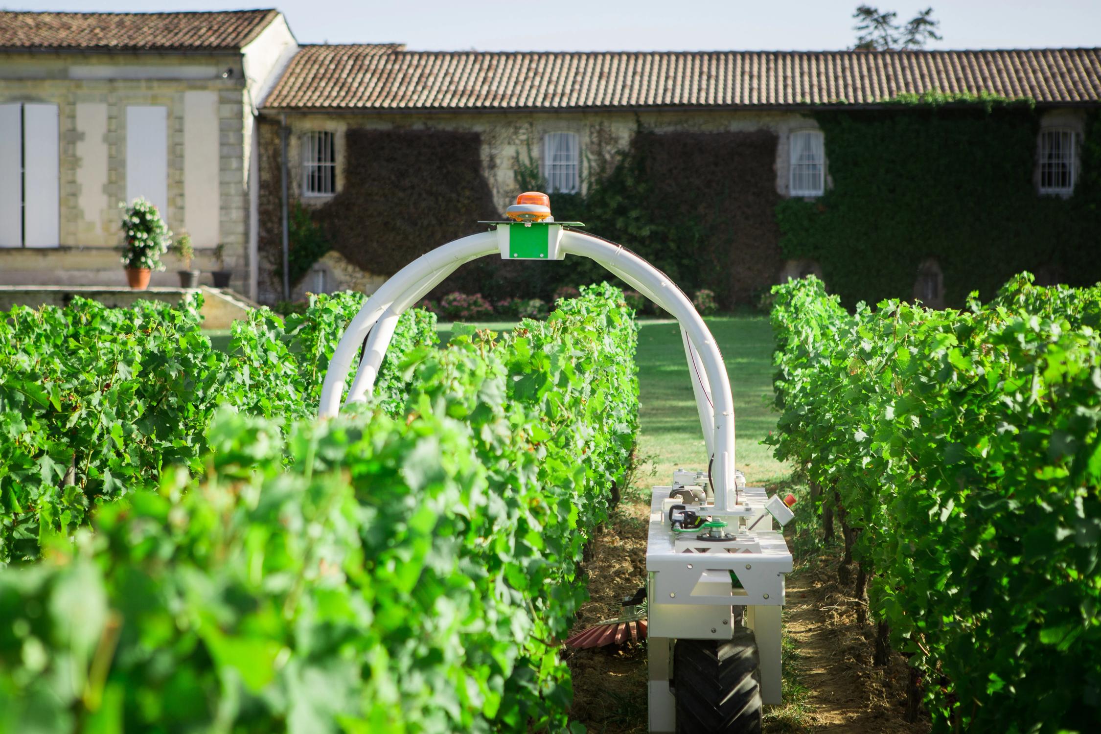 The Next Frontier of Weeding Robots | GOFAR