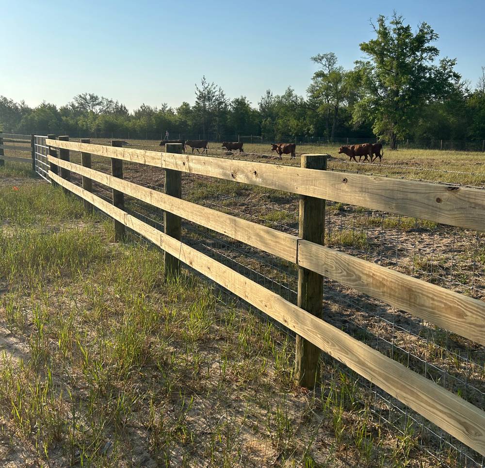 9 Farm Fencing Lessons To Overcome Challenges & Succeed