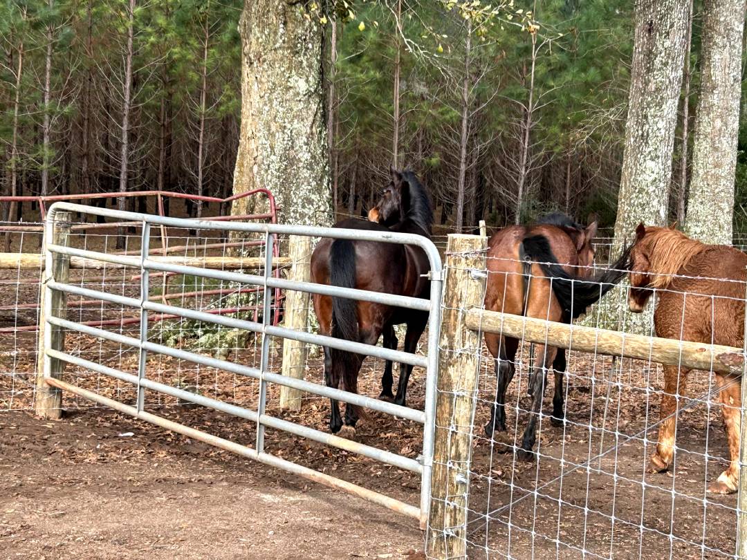 Secure Farm Fence Installation: 7 Essential Steps