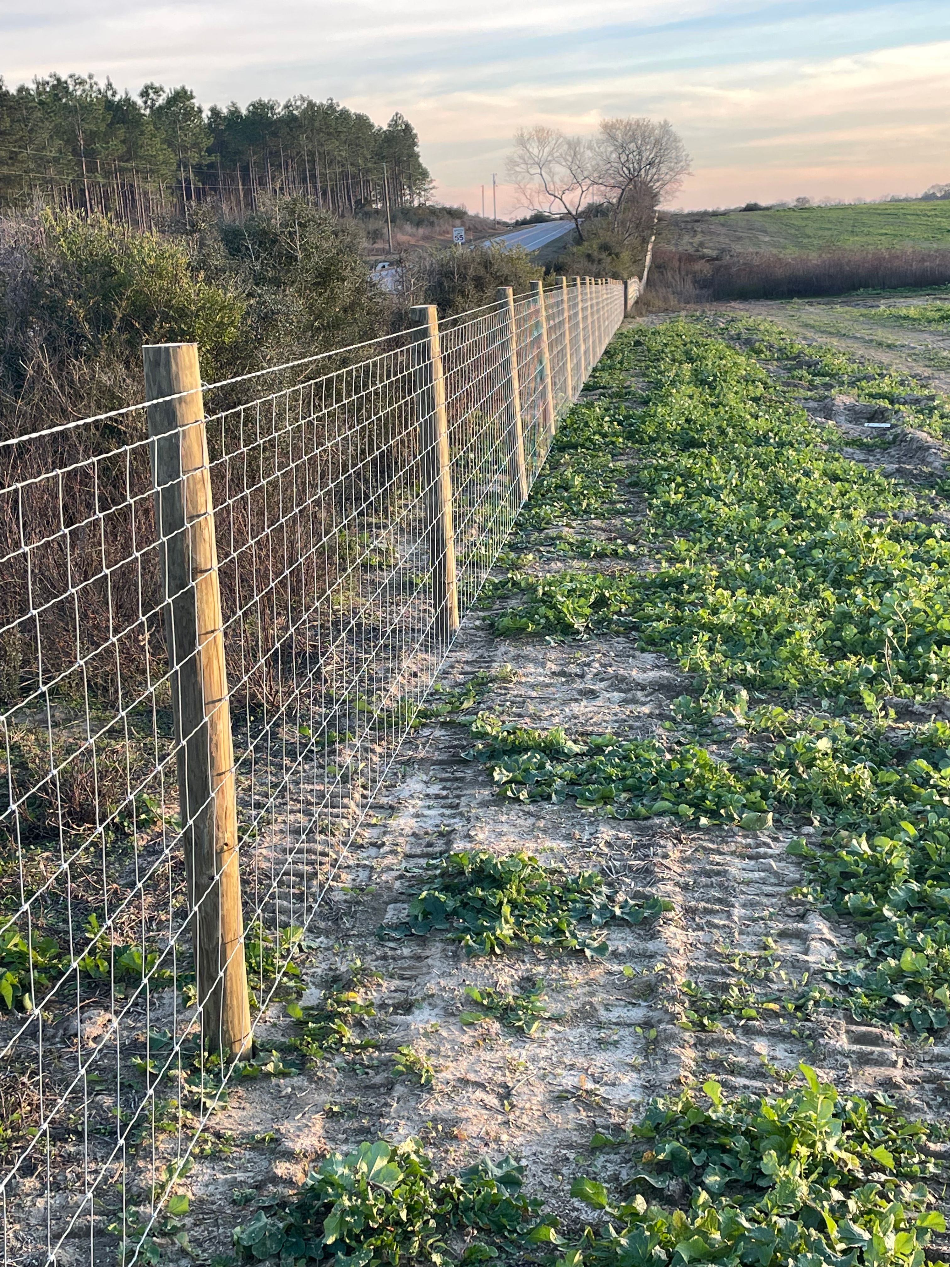 Farm Fencing Rules