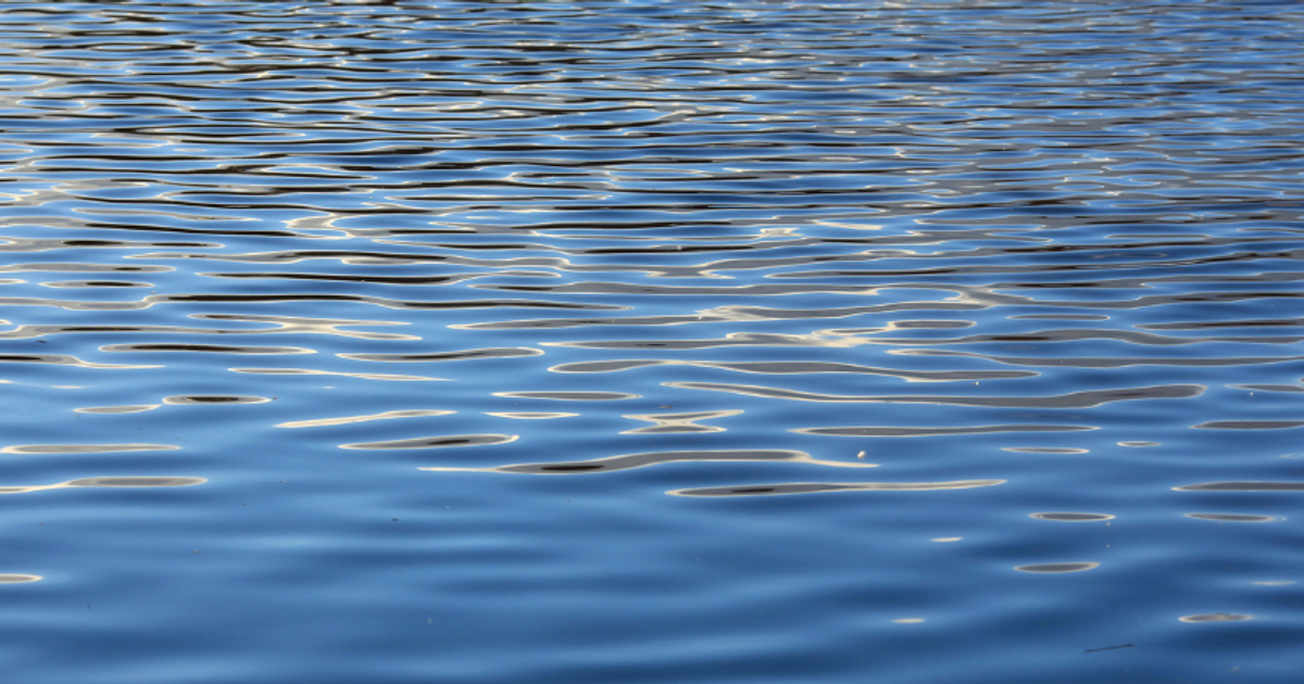 Pond Trial Demonstrates Successful Water Clarification with EnviroZyme ...