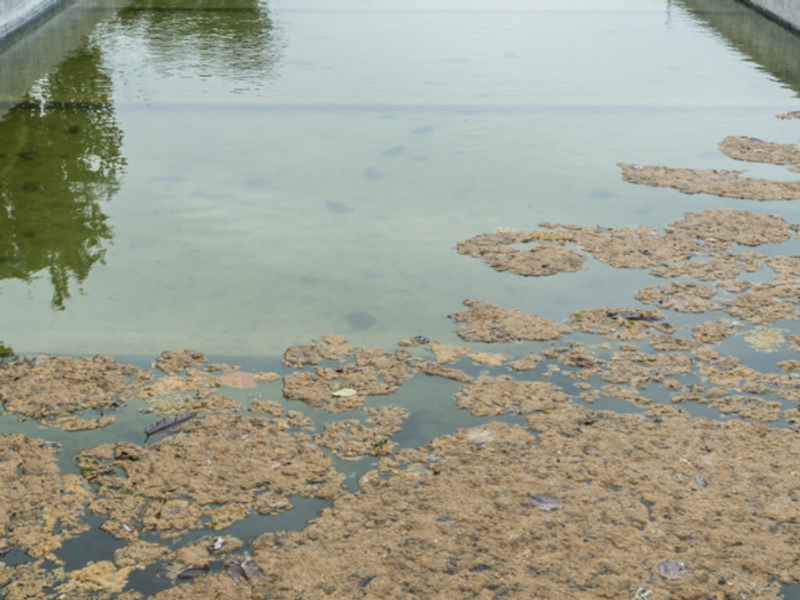 Causes and Cures for 6 Common Types of Foaming in Water Resource ...