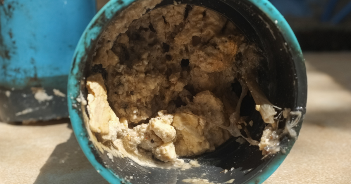 Microbiological Treatment for Grease in Pipes | EnviroZyme