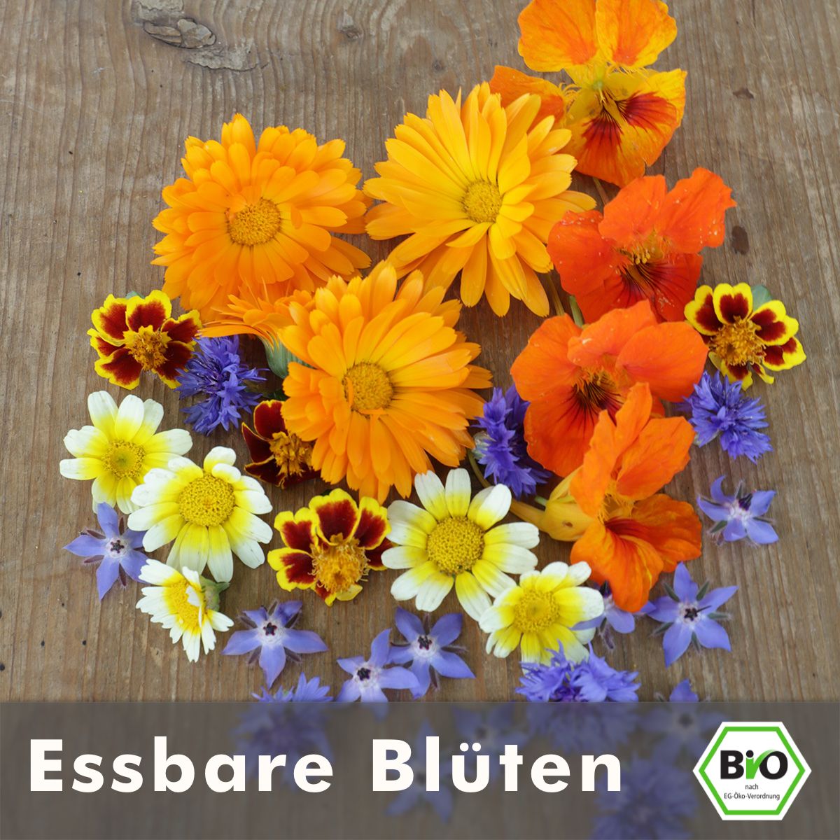 Essbare Blüten Bio-Saatgut: Wilde Geschmacksexplosionen