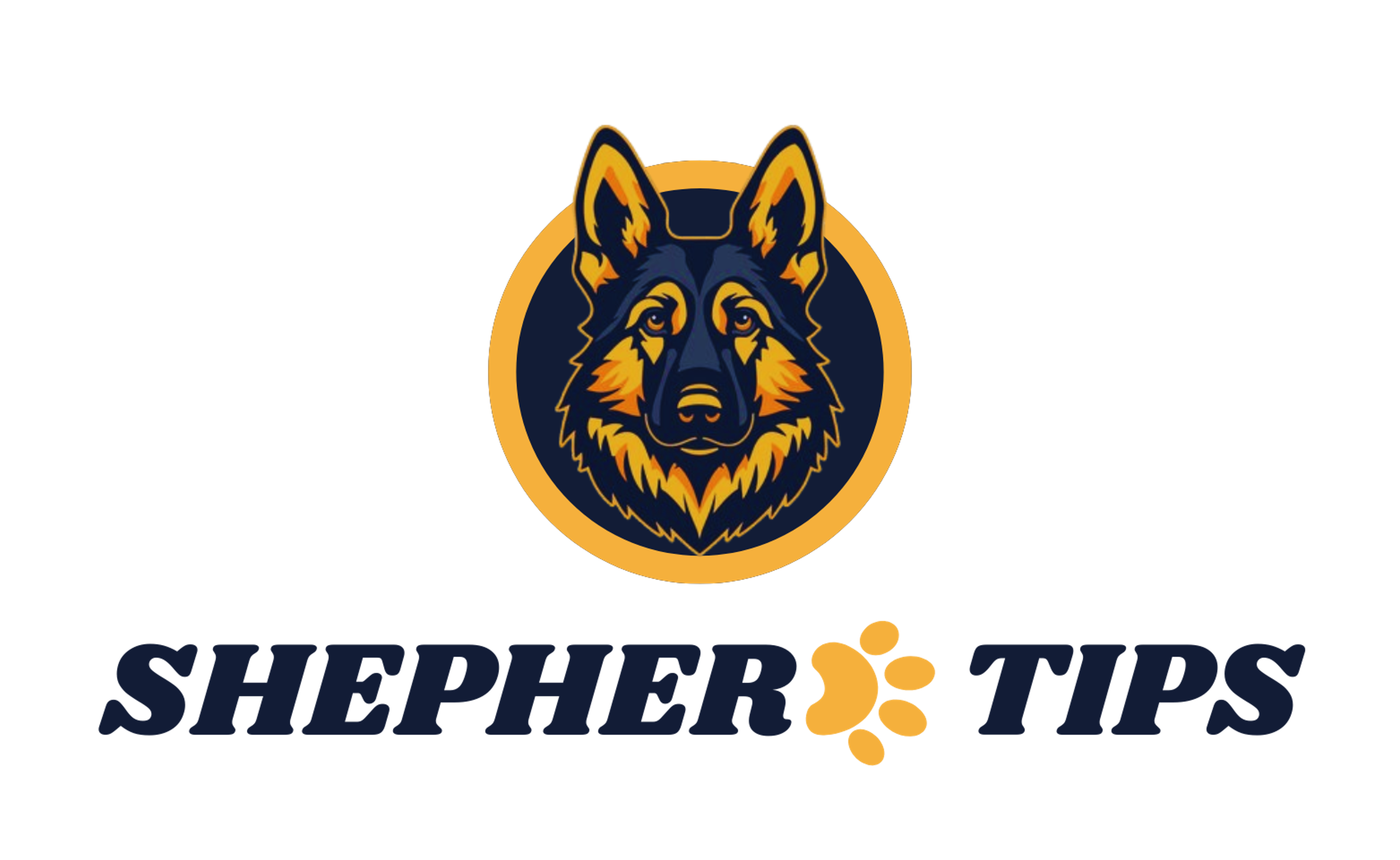 Amazing Types Of German Shepherds You Need To Know