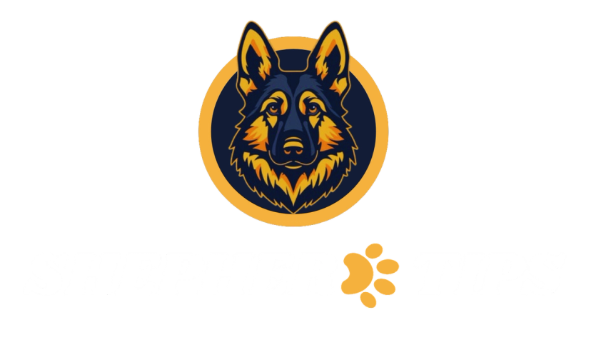 Working Line vs Show Line German Shepherd: Key Differences Explained