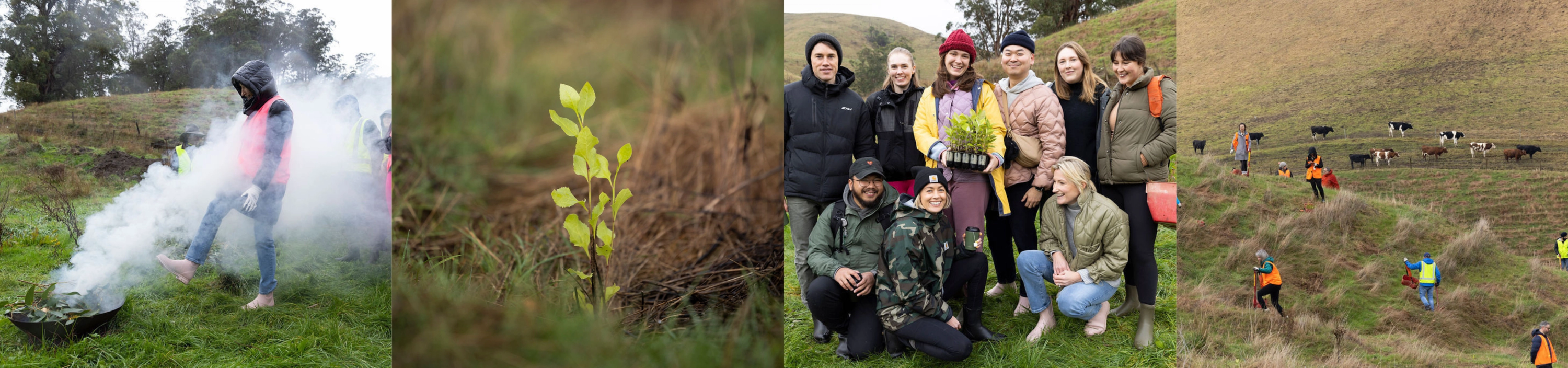 We Planted Trees With Greenfleet | Bared Footwear