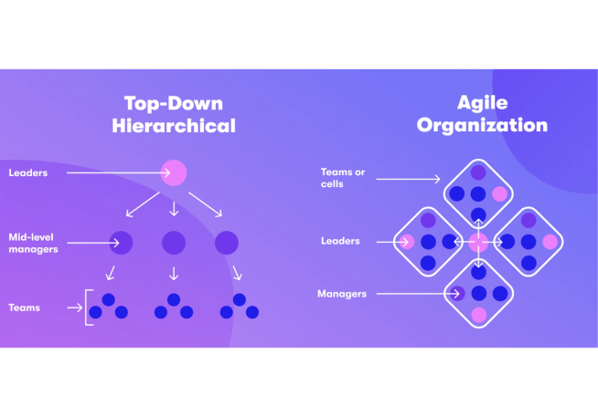 Why Agile Organization Is Good for Your Business | Collato blog