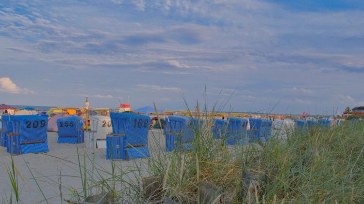 Damp und Region: Urlaub, Freizeit & Erholung