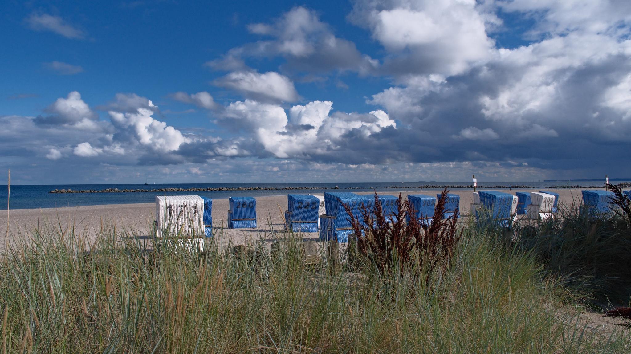 Tourismus Damp – Dein Naturparadies an der Ostsee