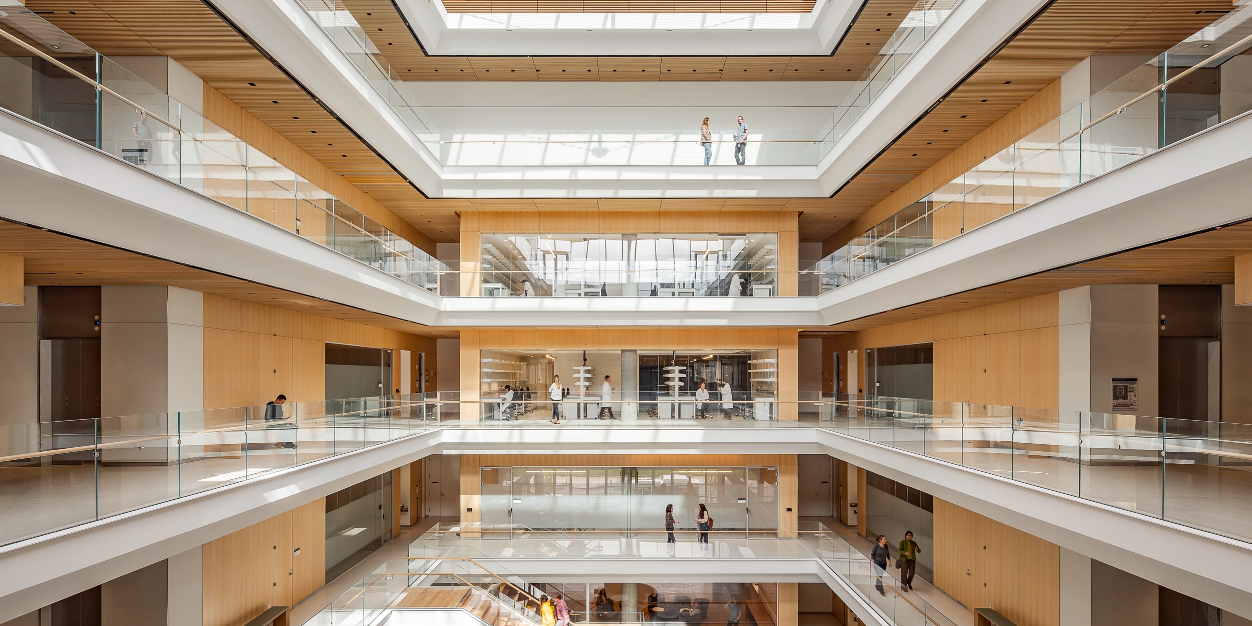 UCSF Weill Institute For Neurosciences | Mission Bell