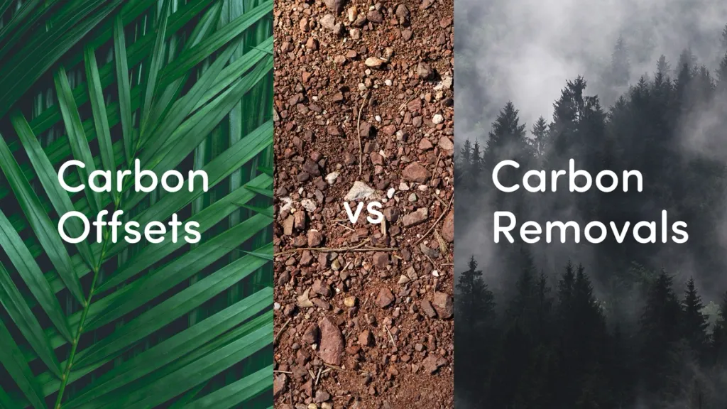 Carbon Offsets vs Carbon Removals | Insights | ethy