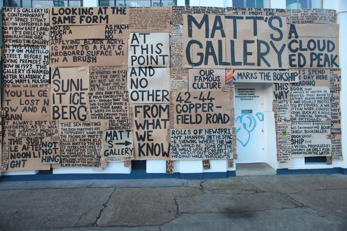 Matt’s Gallery – Hayley Newman and Anne Bean