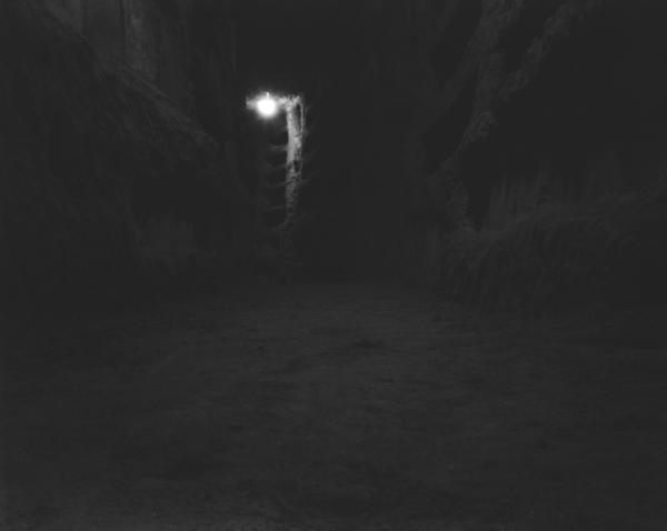 Matt’s Gallery – Fiona Crisp