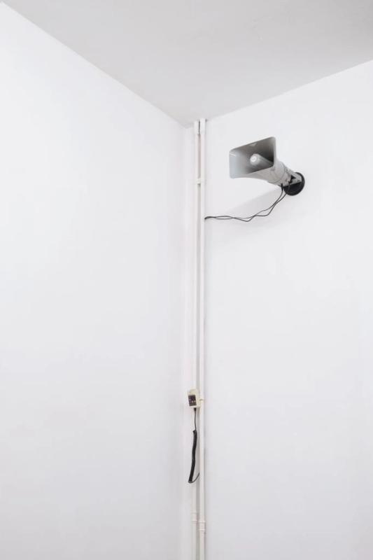 Matt’s Gallery – Michael Curran in collaboration with Marie-Sophie Beinke