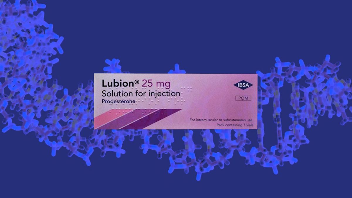 Matt’s Gallery – Lubion