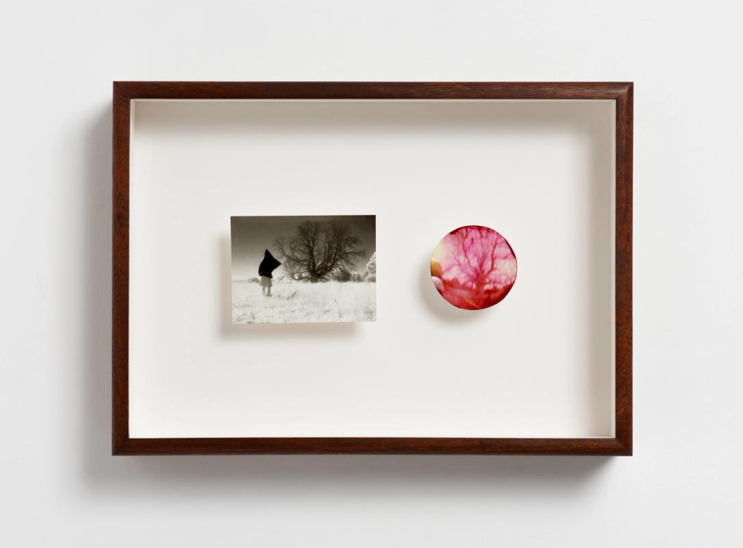 Matt’s Gallery – Lindsay Seers