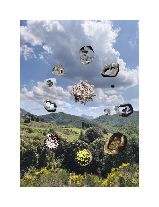 Matt's Gallery – W.S.I.N. (Weird Shit In Nature), 2024