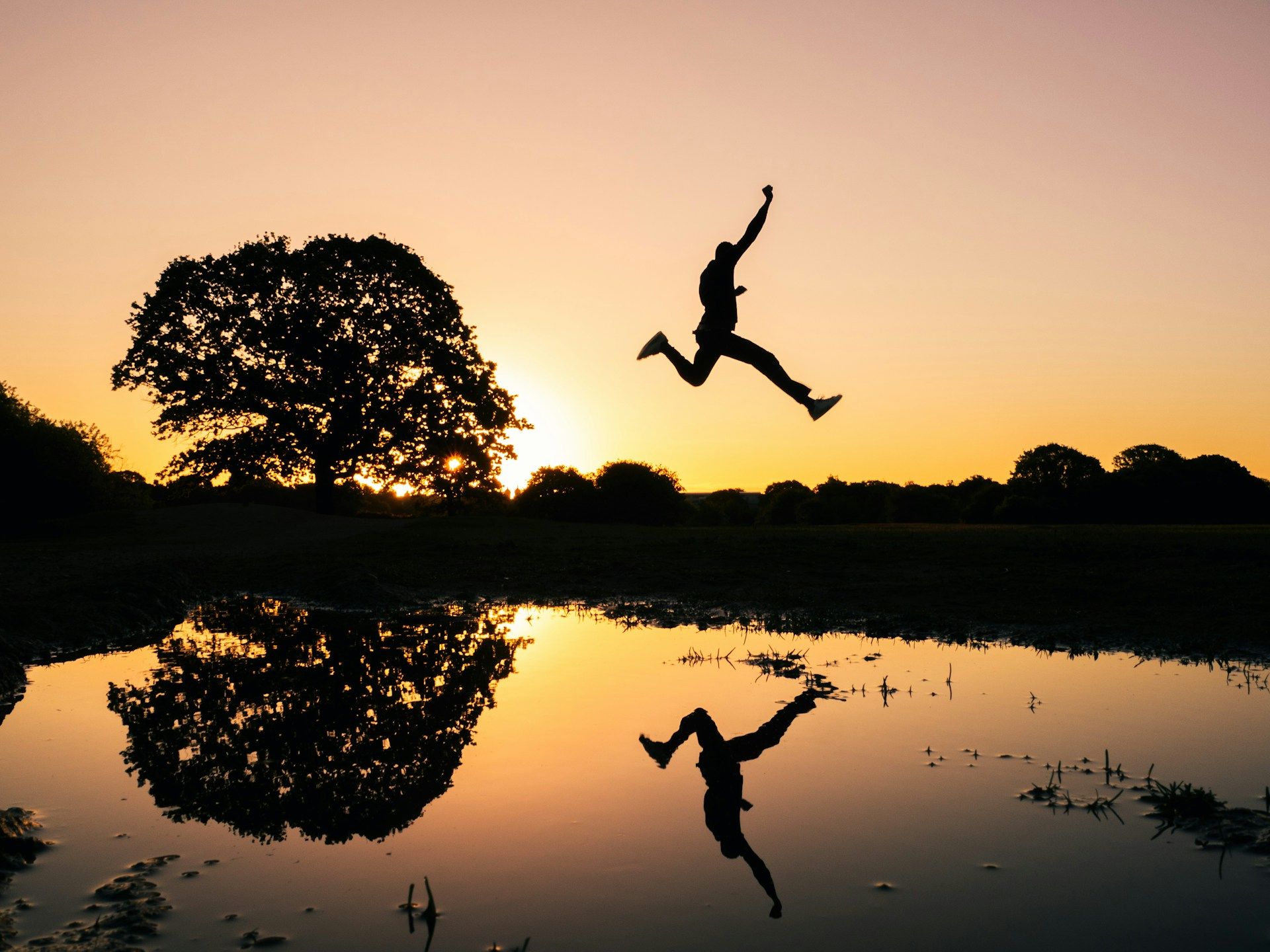 Leaps, Beyond Labels - YogaDiviners