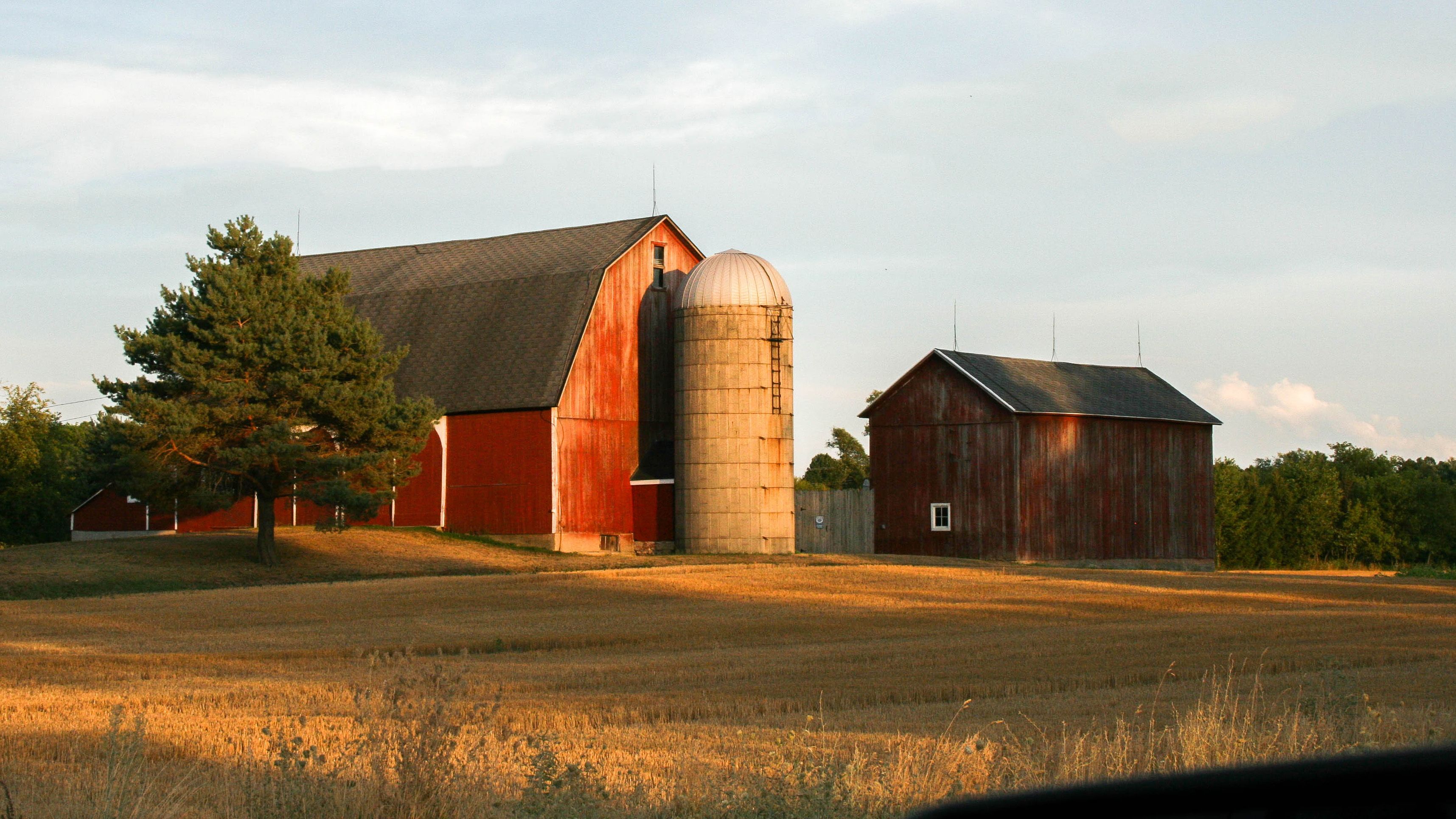 The One Enduring Foundation For Our Lives | Michigan District, LCMS