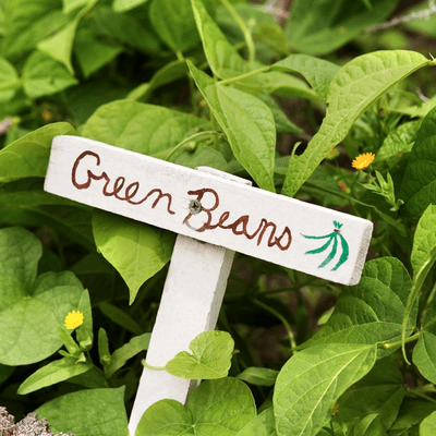 Hjem | Skolehager i Norge