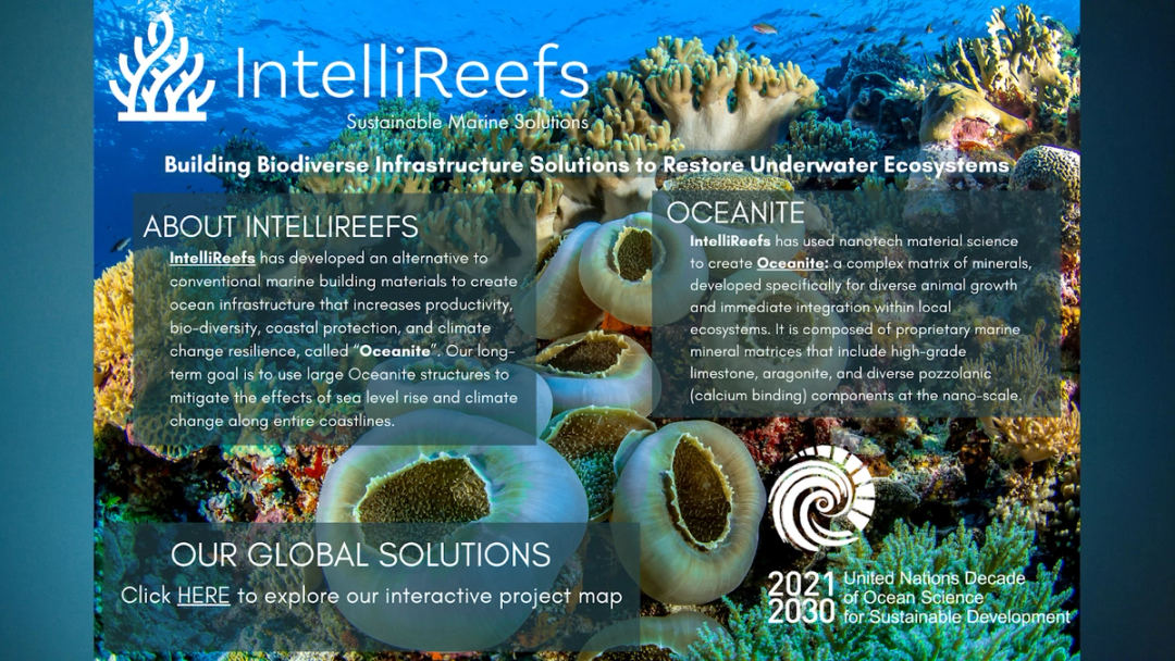 Oceanite Artificial Reefs by IntelliReefs | Site, Species, and Function ...