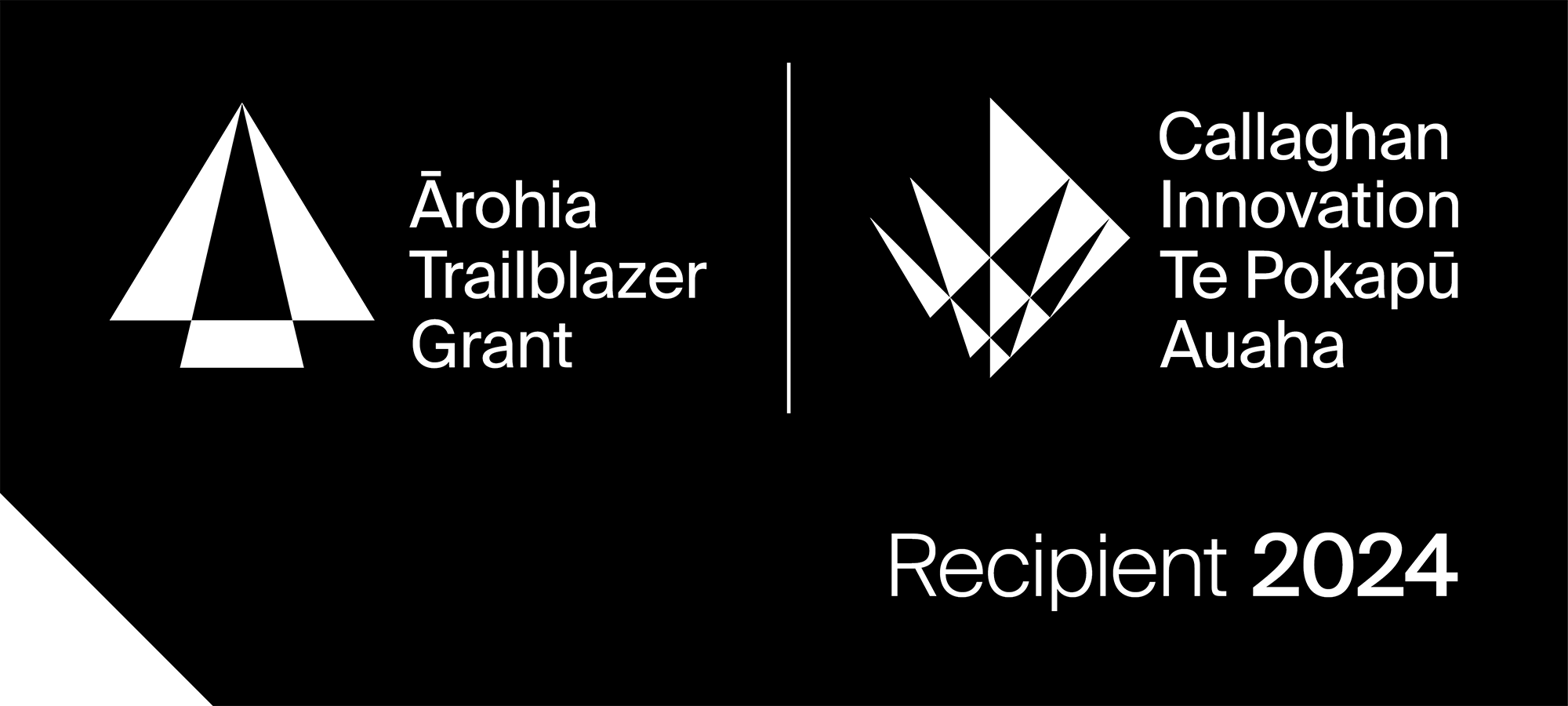 Zenno — Electrifying space