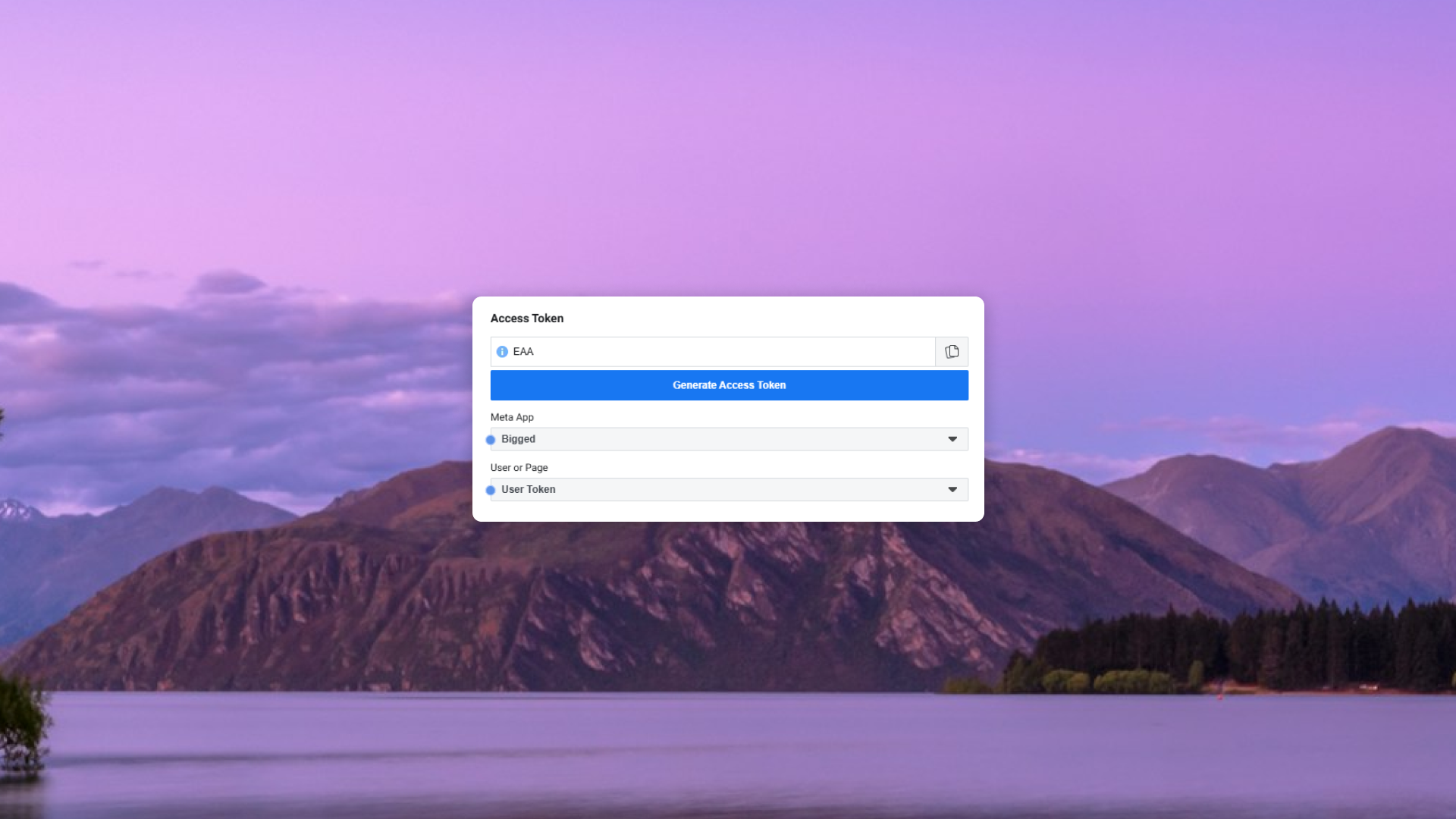 How to create a Meta API token, client ID and client secret. | Bigged