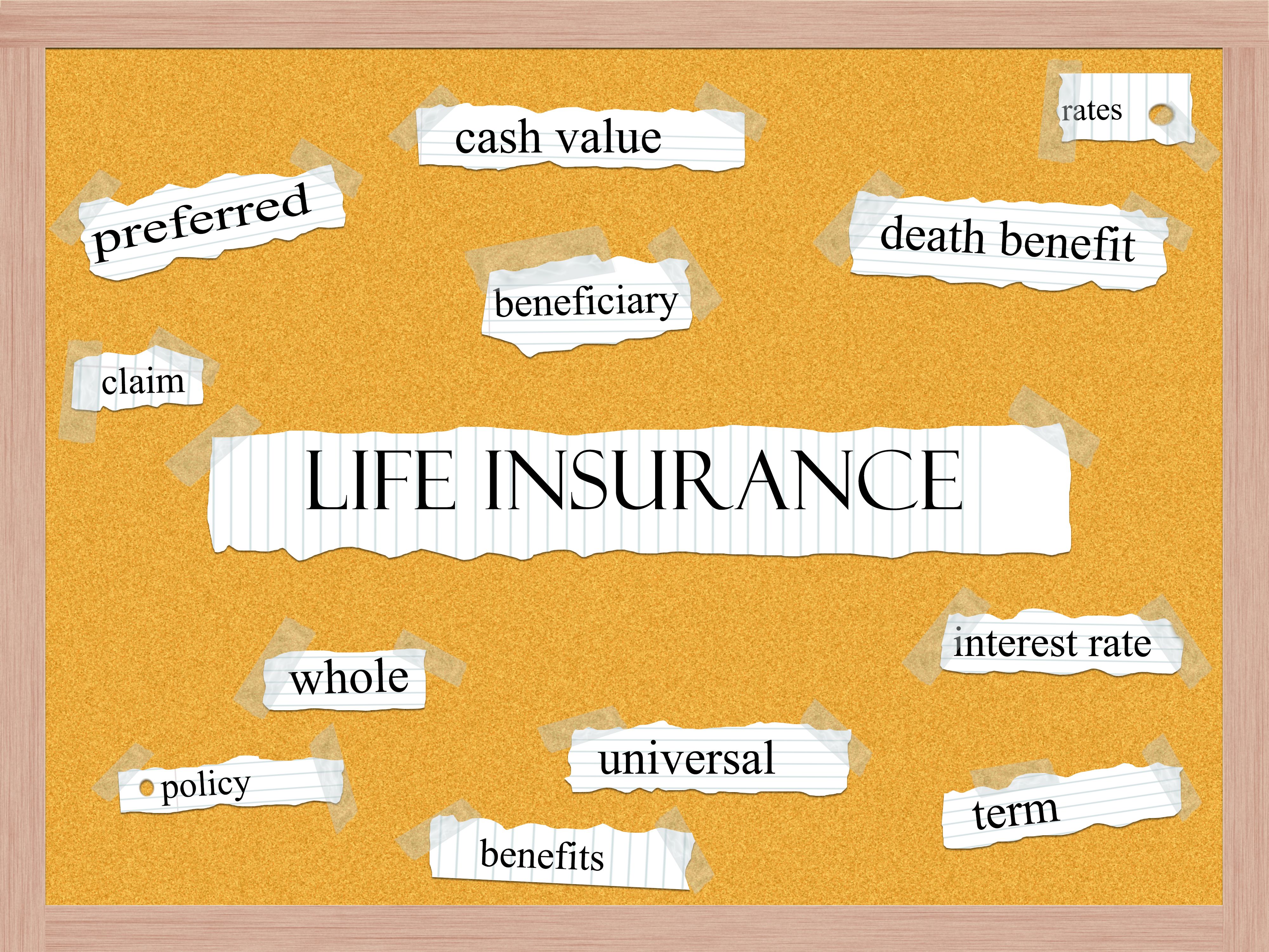A Complete Overview of Life Insurance Riders | Everplans